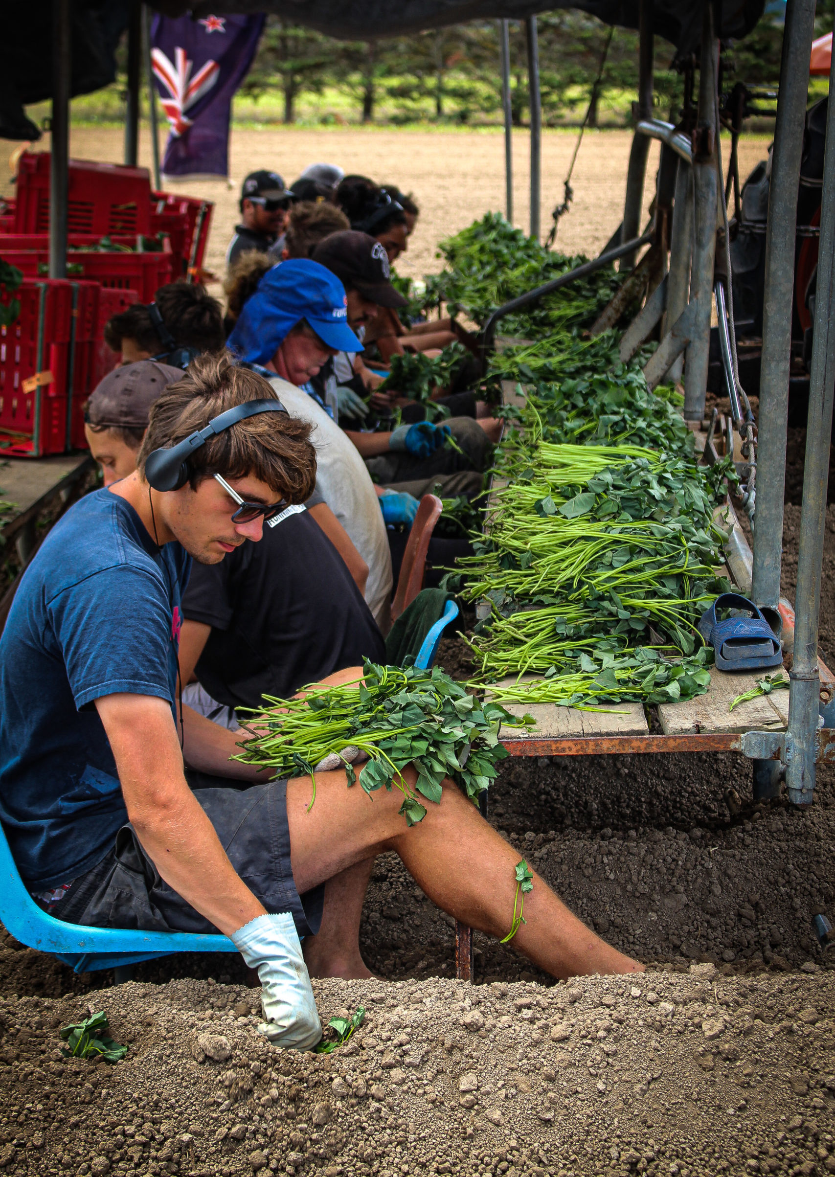 Reflections on the Rising Production Costs - Fieldco Ltd