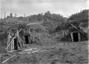Storing and Curing of Kumara - Fieldco Ltd